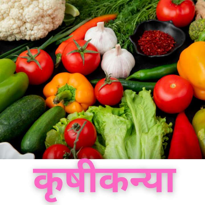 Best Organic Farming Sendriya sheti सेंद्रिय शेतीचे फायदे. सेंद्रिय ...